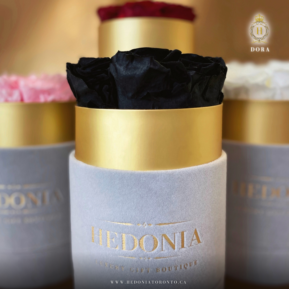 DORA Collection – Hedonia Toronto